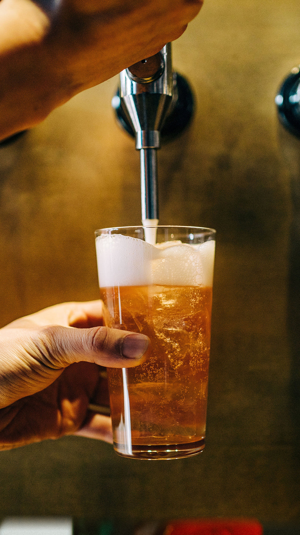 Double Chicken Please